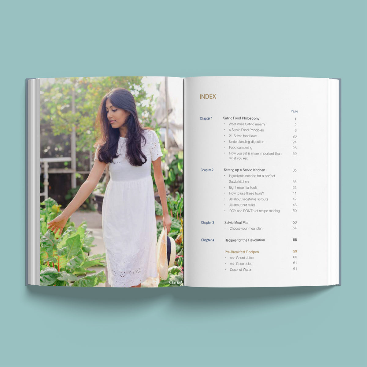 Satvic Food Book 1 | 55 Healing Recipes – Satvic Movement