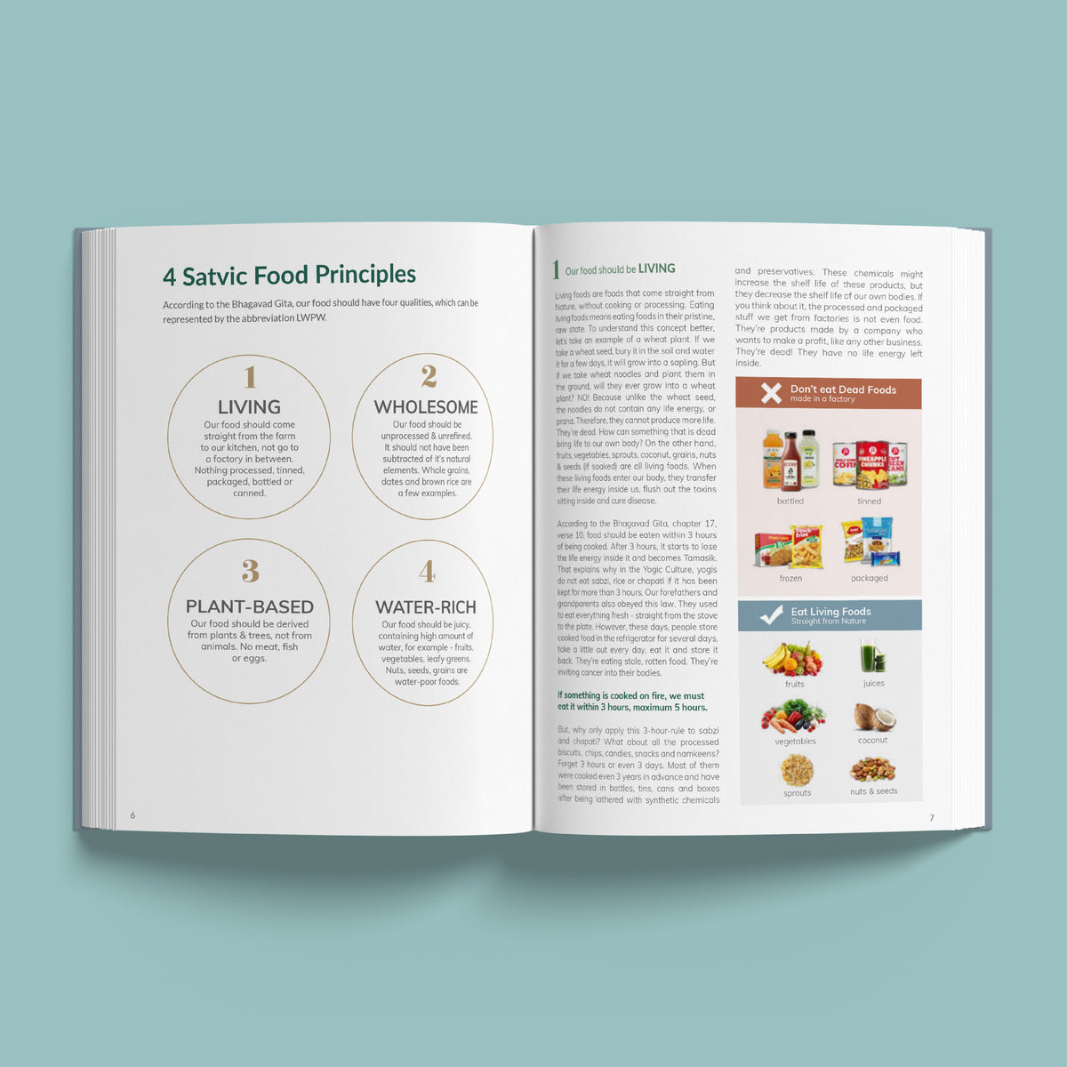 Satvic Food Book 1 – Satvic Movement