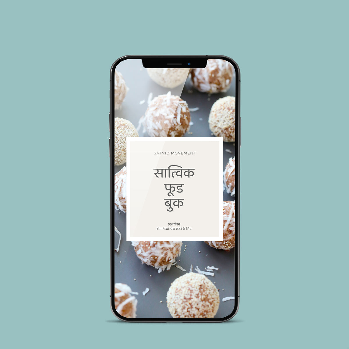 Satvic Food Book 1 – Satvic Movement