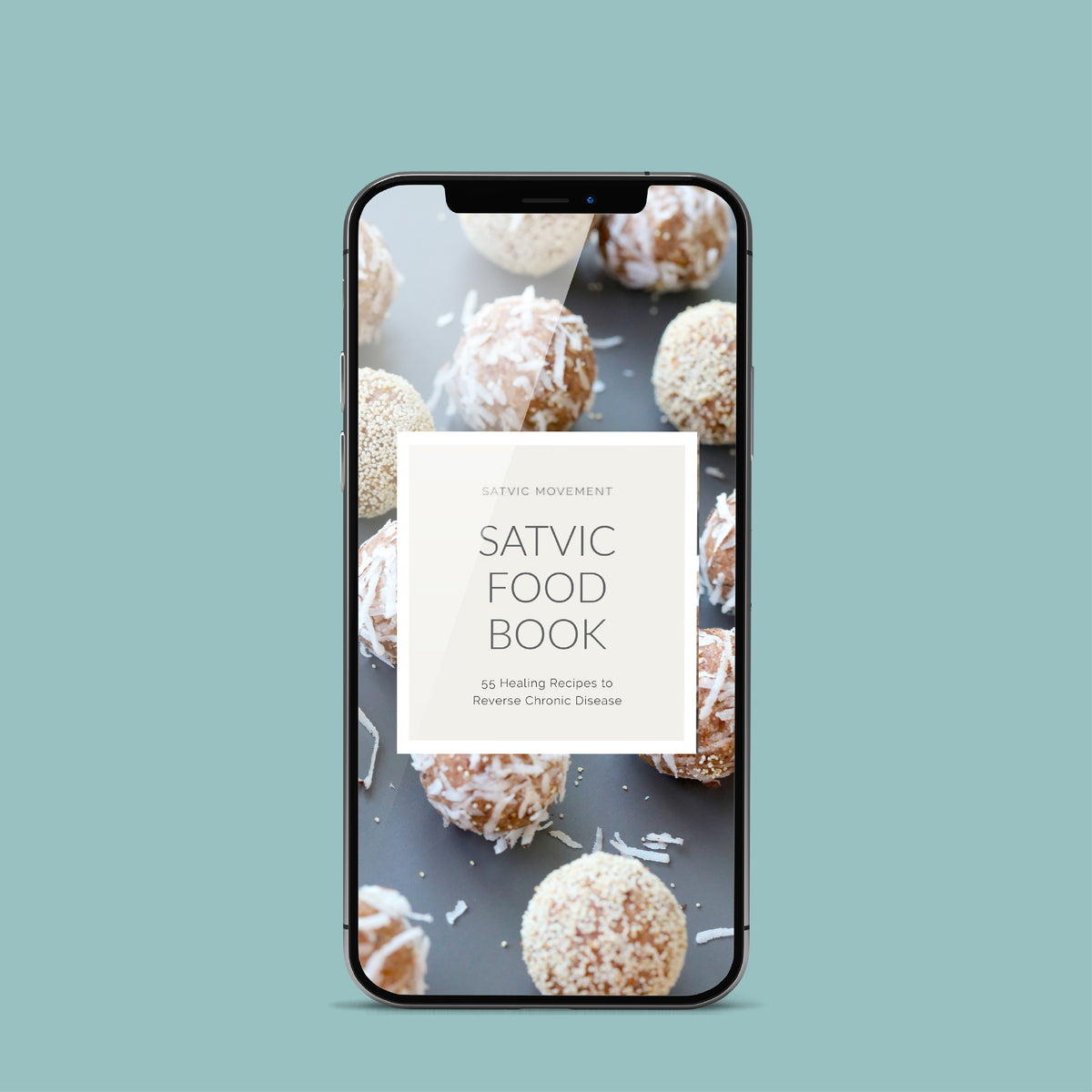 Satvic Food Book 1 | 55 Healing Recipes – Satvic Movement